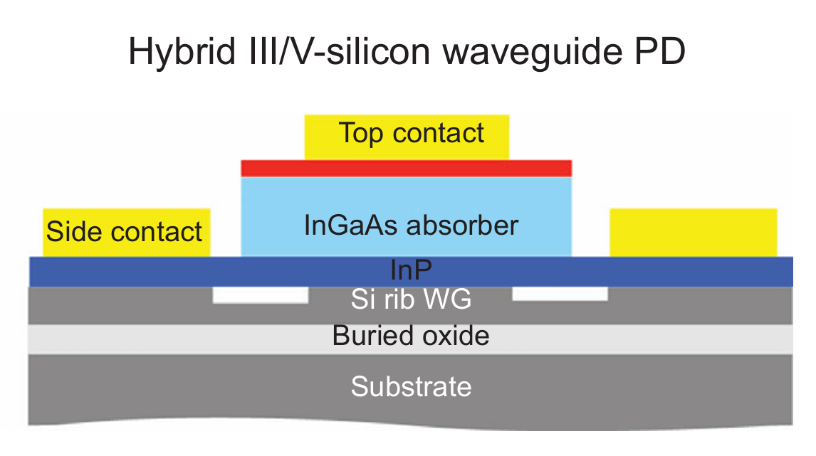 Silicon Photonic Chip Core Device Photodetector And Passive
